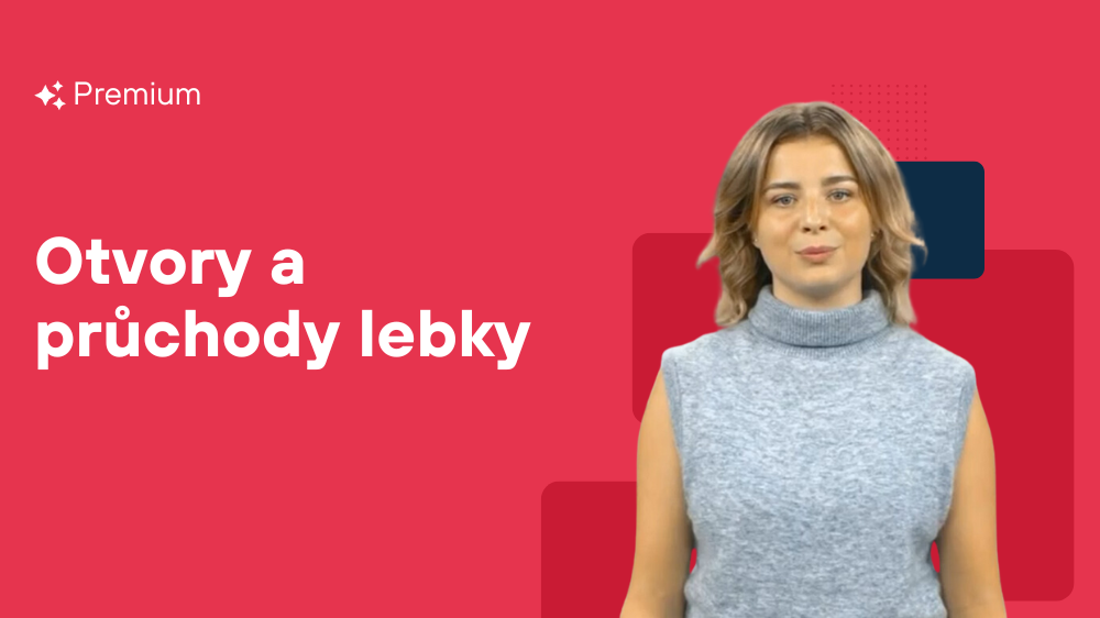 ANATOMIE - Otvory a průchody lebky - Po medině
