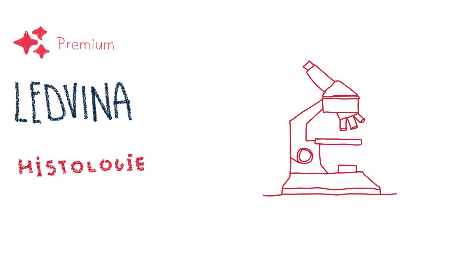HISTOLOGIE - Ledvina - Po medině